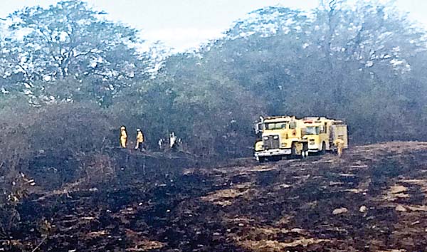 Brush fire caused some damage, mayor reports | News, Sports, Jobs ...